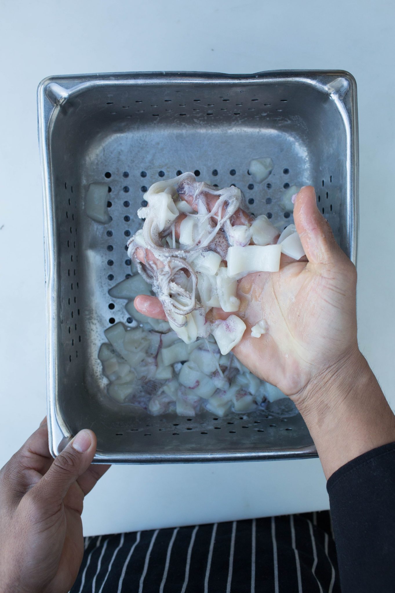 Freshly cleaned and cut Calamari | GFF Magazine